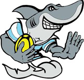 Rugby: Pro Recco in bilico tra Eccellenza e A1. - Tuttolevante.it